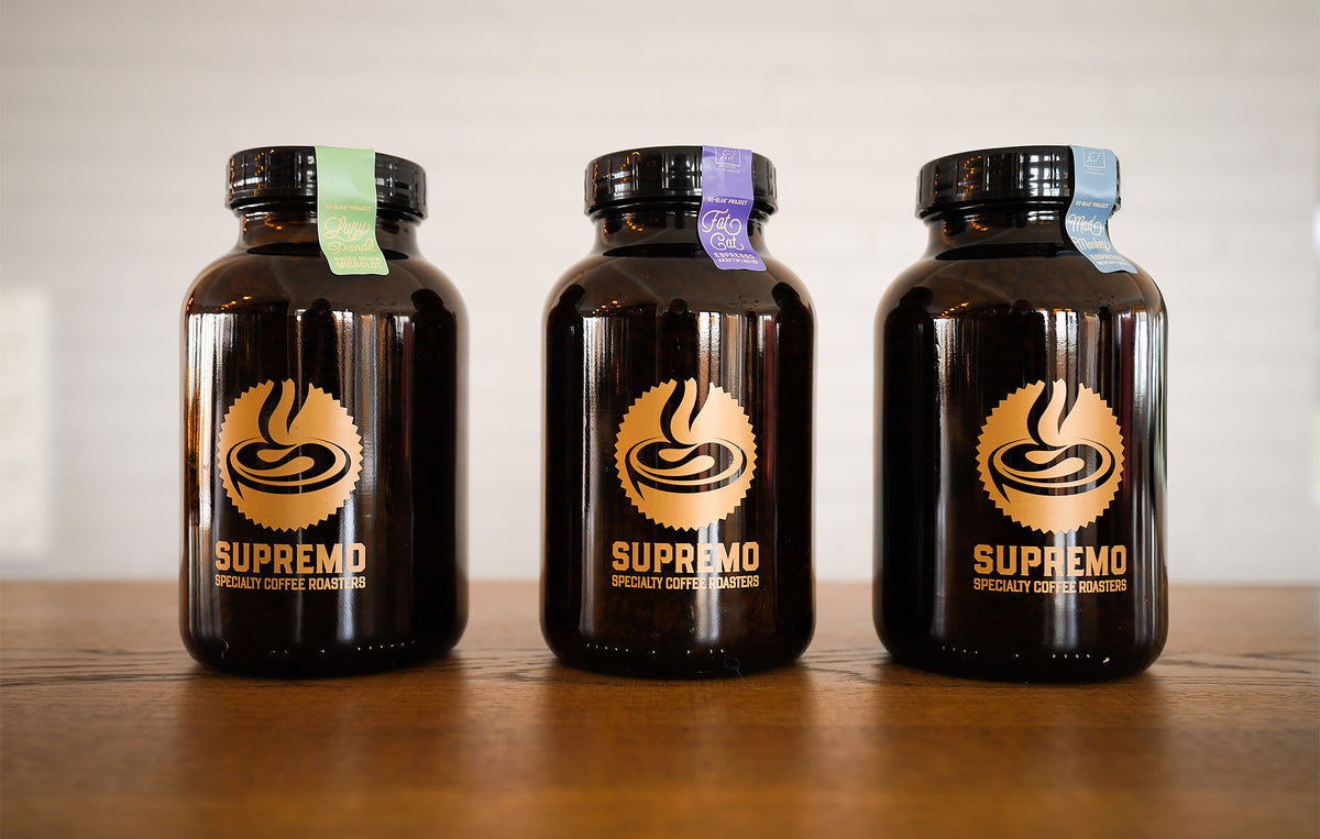 The Re-Glas® Project