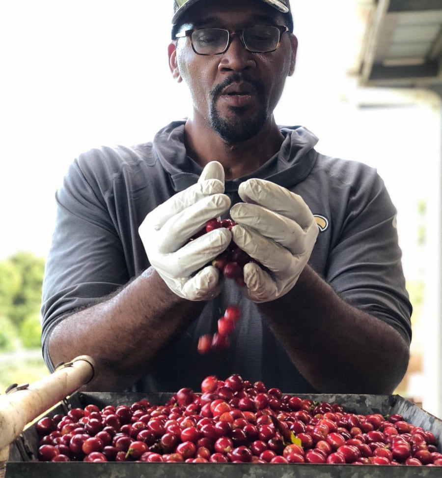 Specialty Coffee Nuggets to Strong Espresso Blends – SUPREMO COFFEE