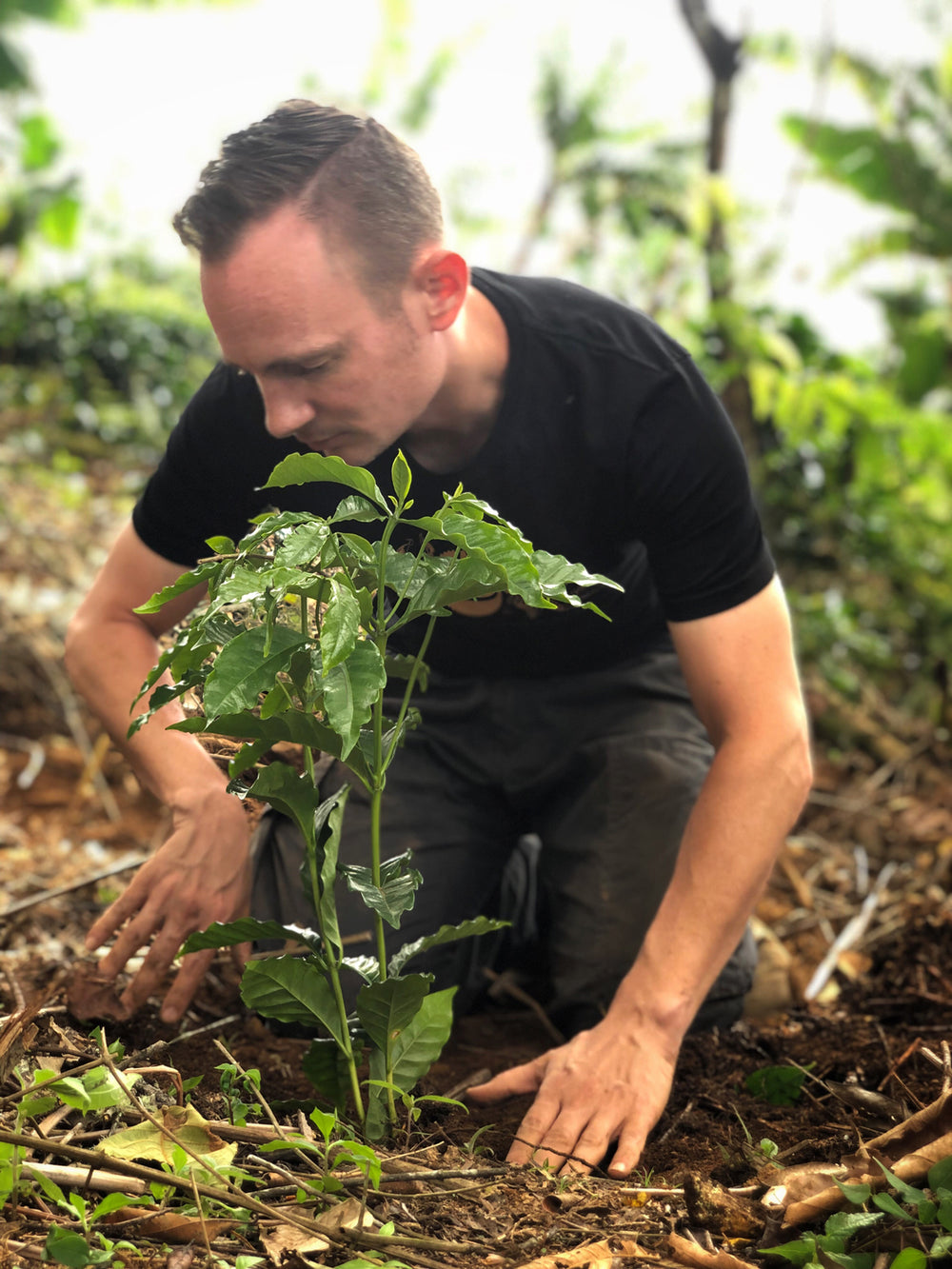 Willkommen bei SUPREMO COFFEE: Entdecke die Welt des Specialty Coffee!