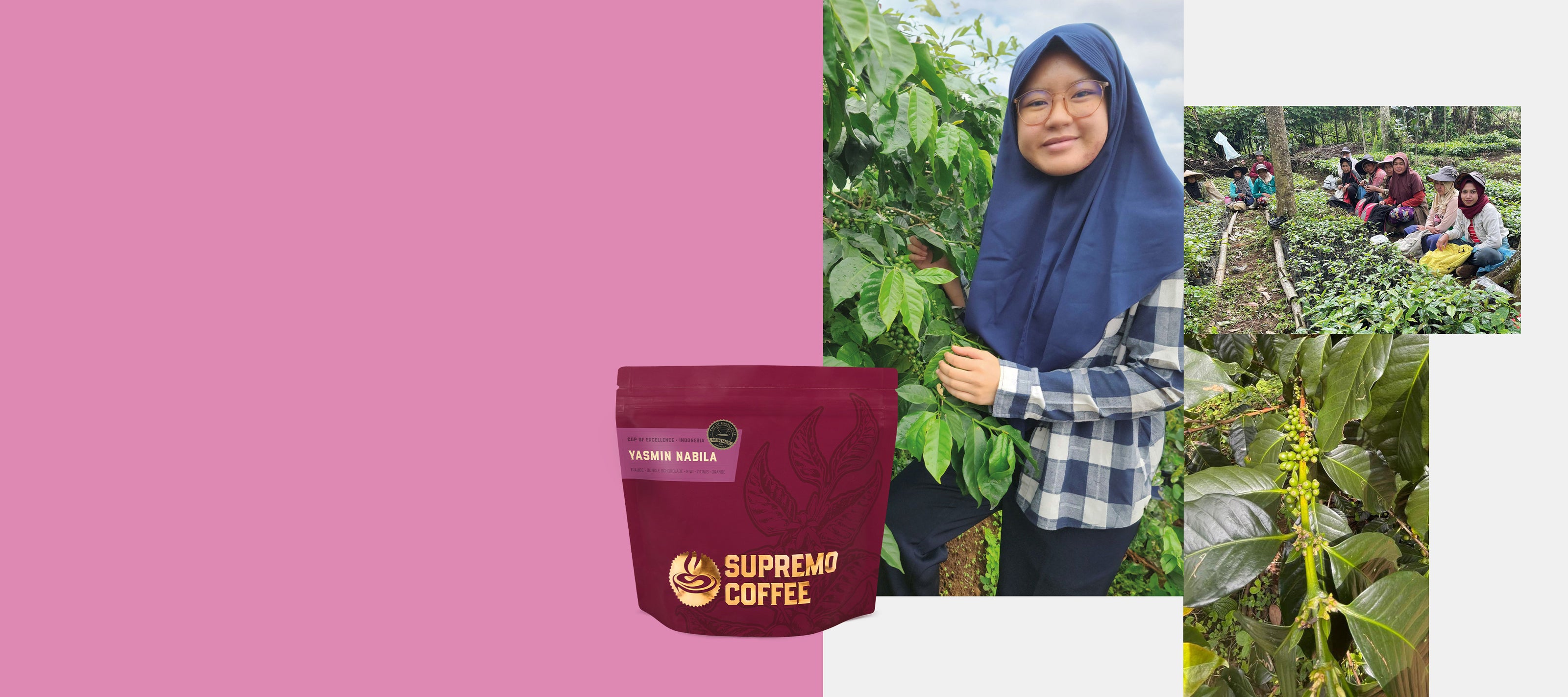 Specialty Coffee Nuggets to Strong Espresso Blends – SUPREMO COFFEE